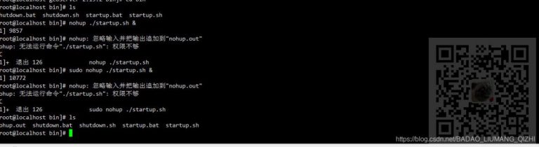 prompt-when-executing-sh-file-in-linux-nohup-unable-to-run-command-startup-sh