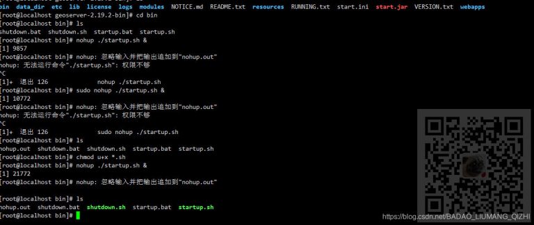Prompt when executing sh file in Linux: nohup: unable to run command ...